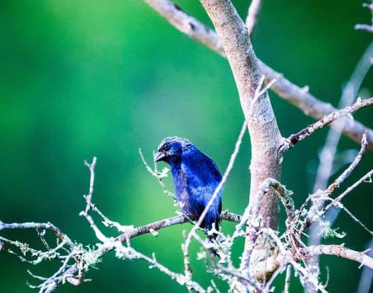 Reservas ecológicas en Yucatán: El corchito | Consejos y tips para ...